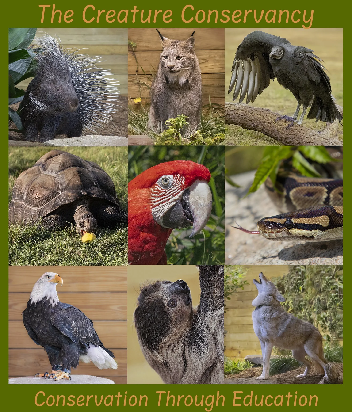 The Creature Conservancy