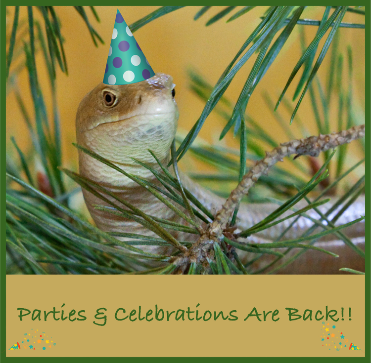 The Creature Conservancy