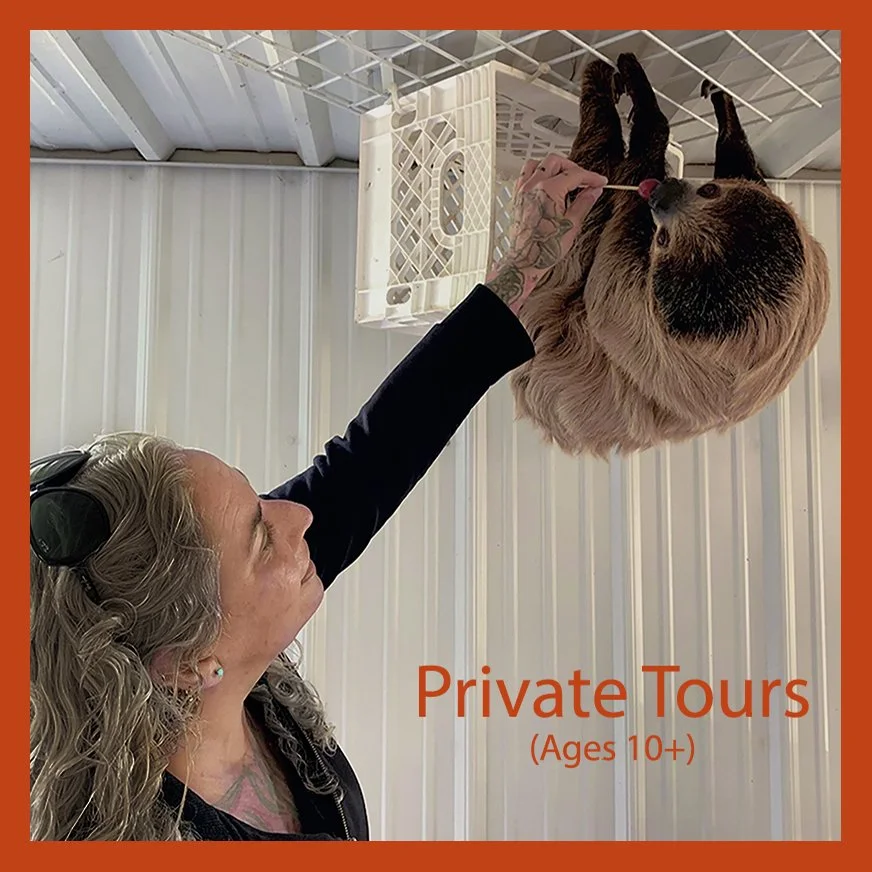 The Creature Conservancy