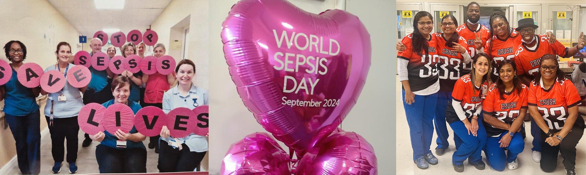2024 World Sepsis Day Event Poster: Download Yours Now and Correct ...