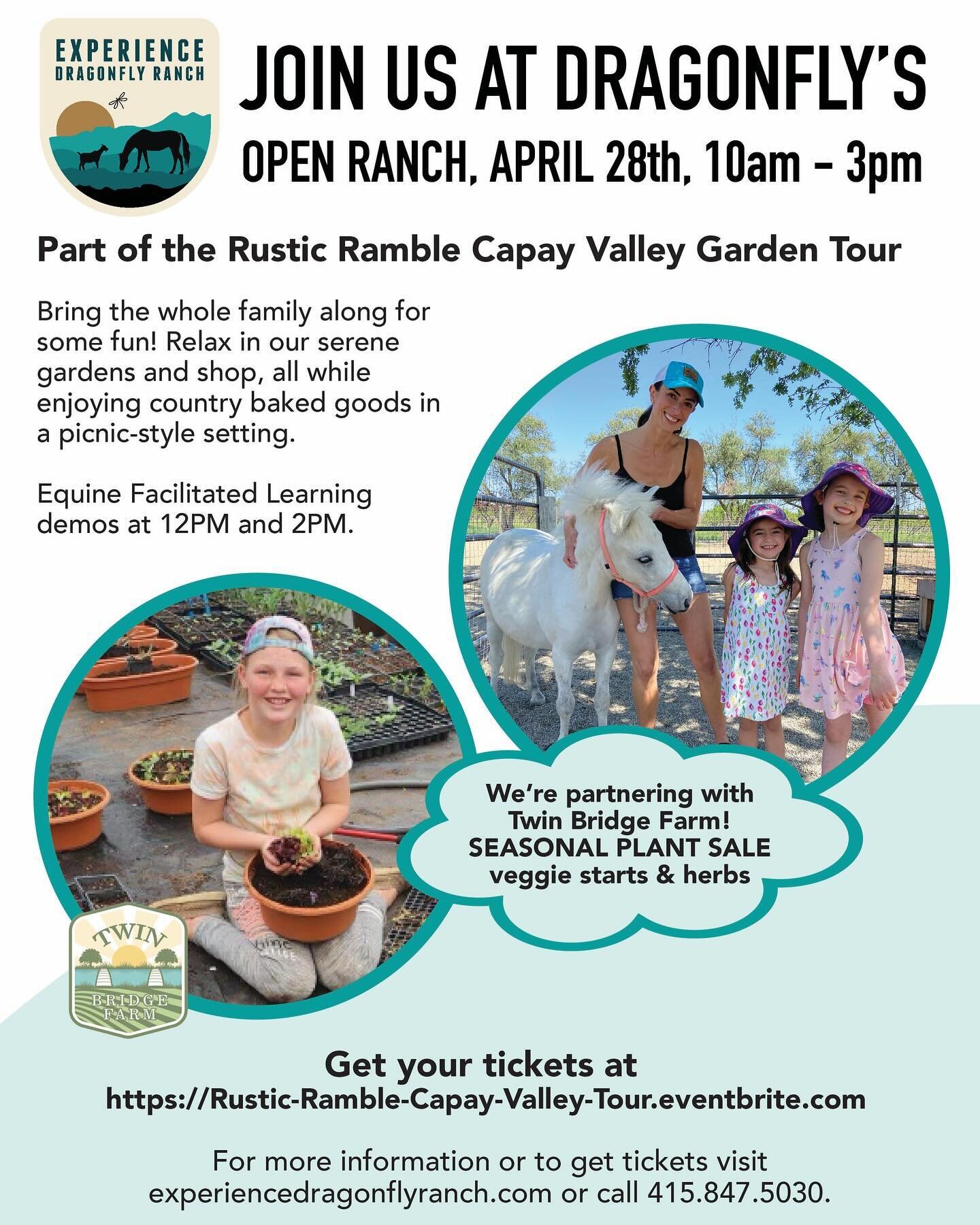 Experience Dragonfly Ranch