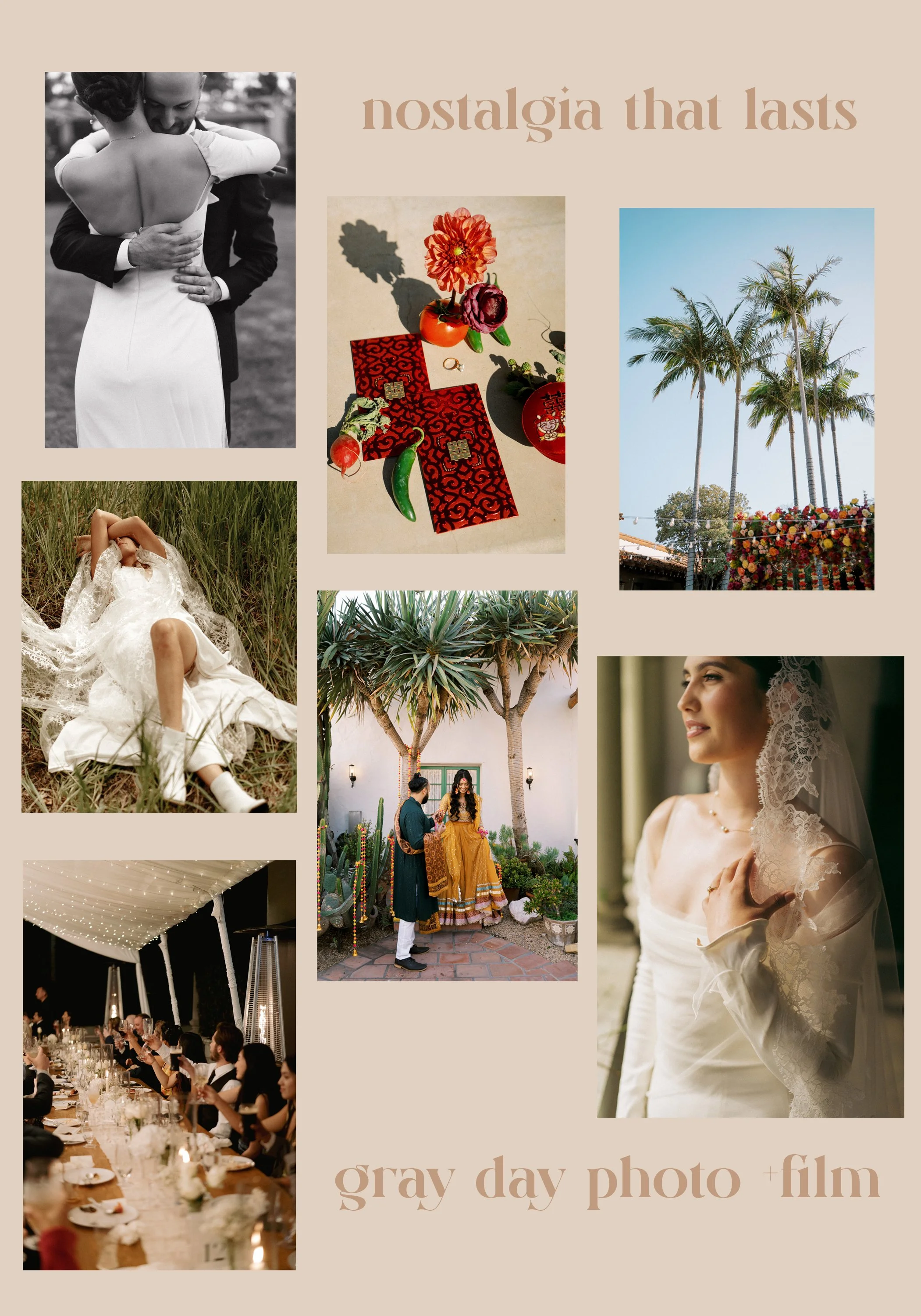 True to Color Wedding Photography and Videography