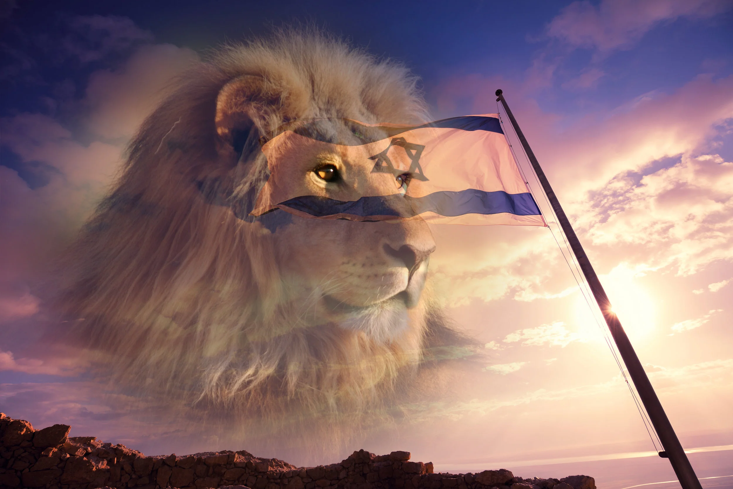 CATEGORIES — House of David Ministries