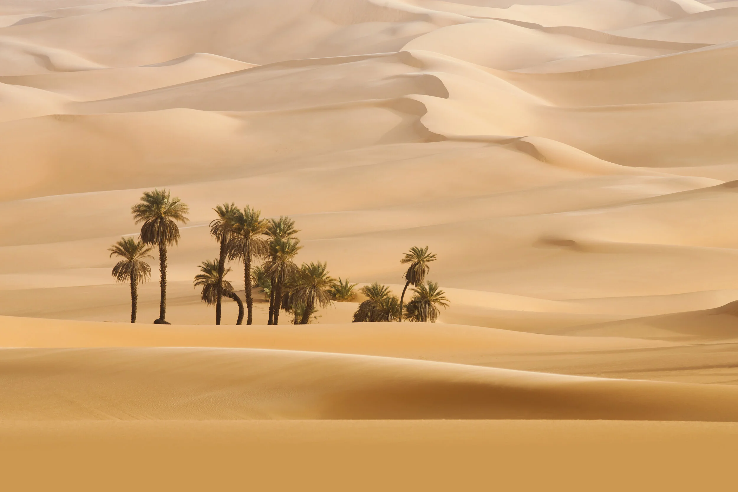Resisting God's Will — House of David Ministries