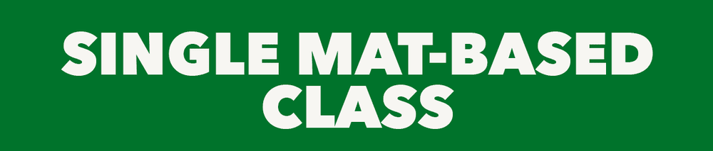 Class Pricing — The Fit In