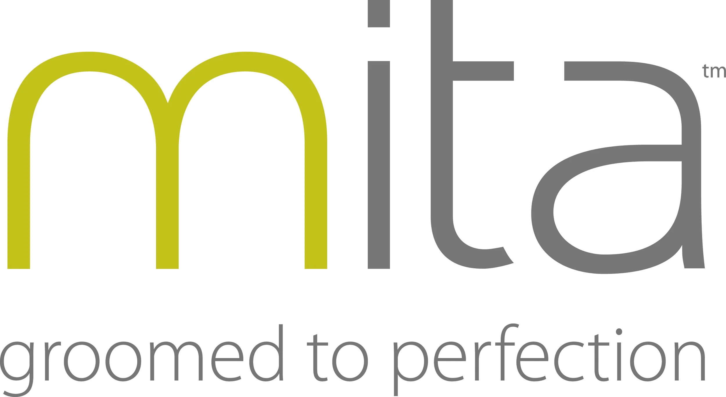 Mita Logo