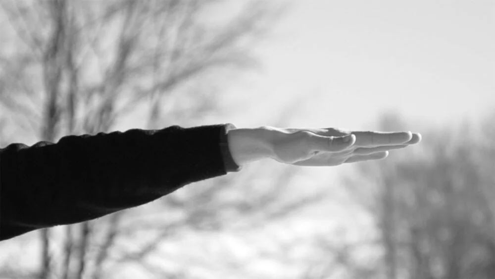 Touch is the Mother of all Senses — ARTEMIS PROJECTS