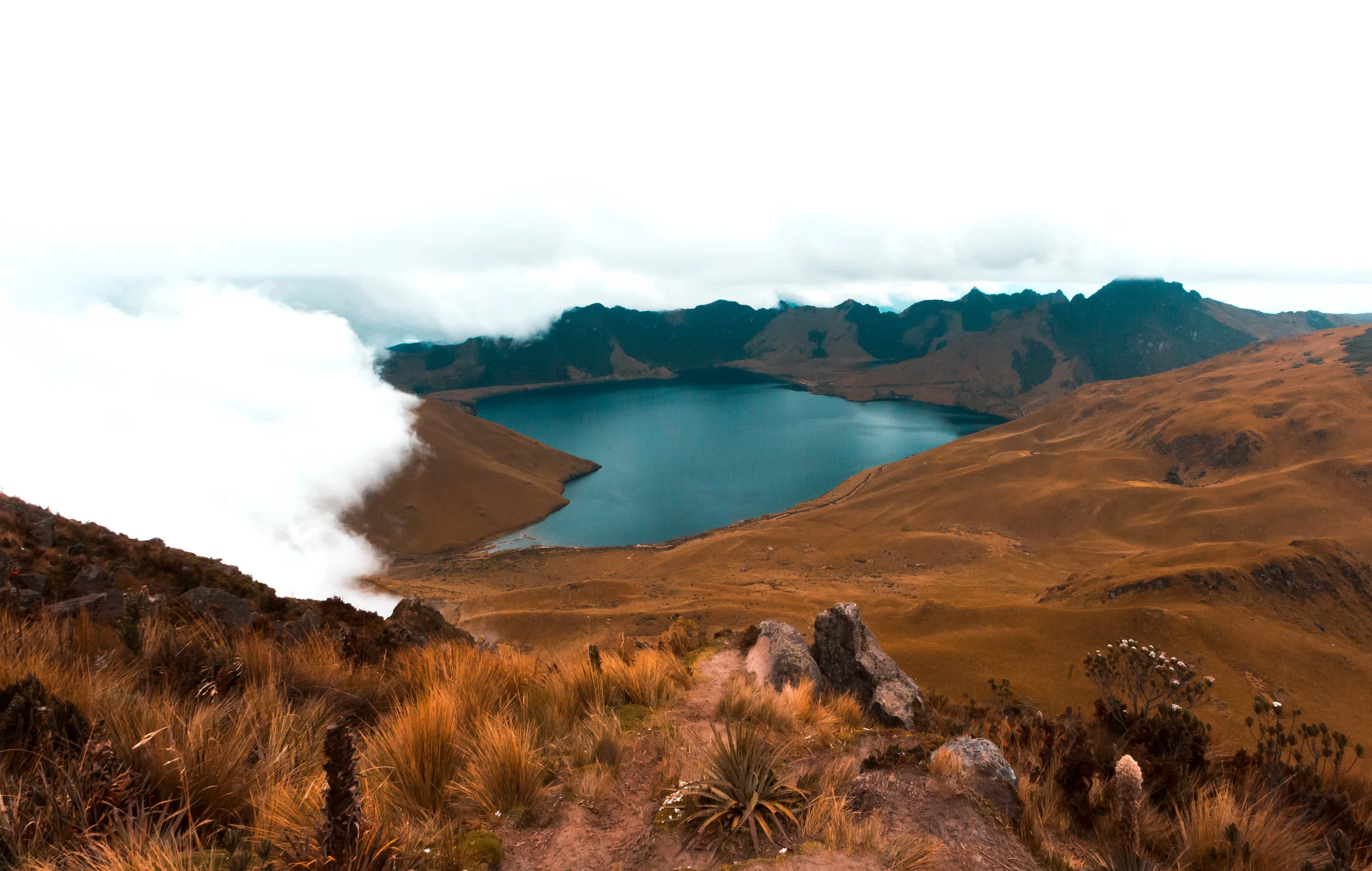 Culture Consultant — Carishina