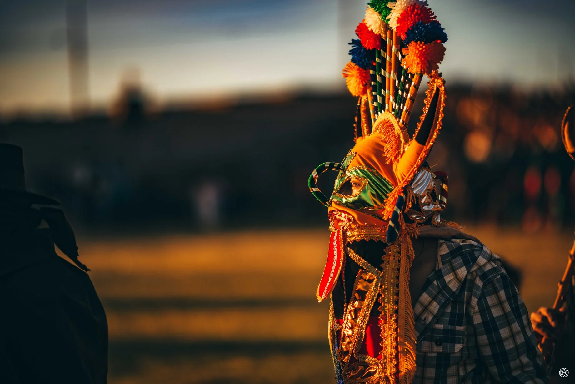 Carishina- An Experience Co