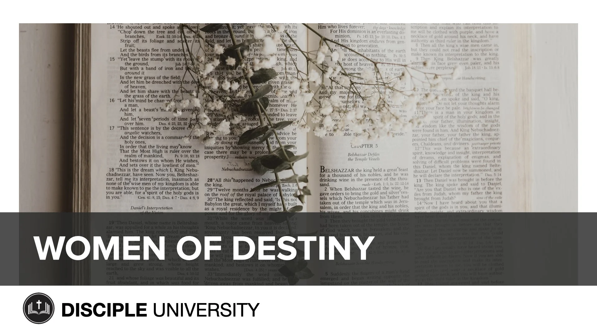 Disciple University — CLI Church