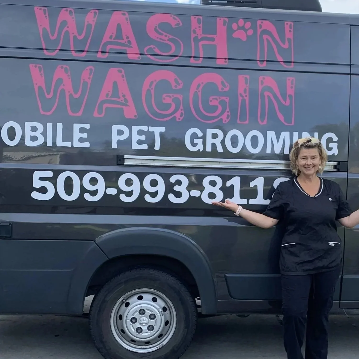 Welcome — Wash 'N Waggin