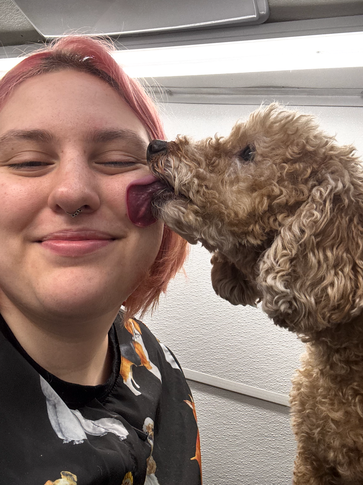 Welcome — Wash 'N Waggin