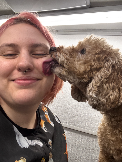 Welcome — Wash 'N Waggin