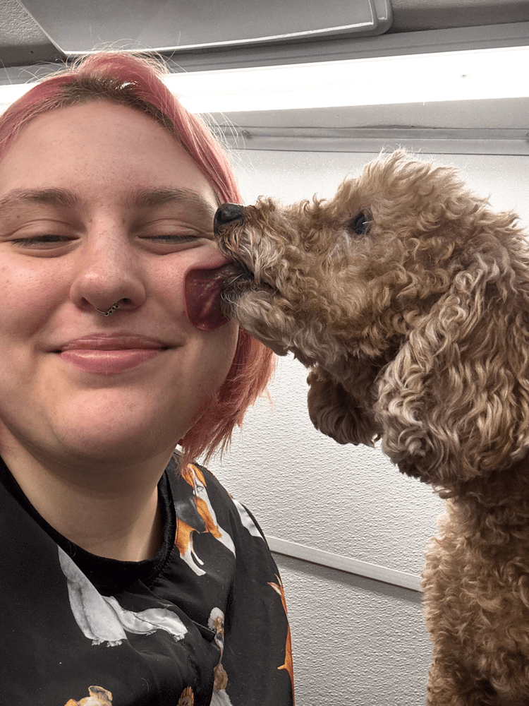 Welcome — Wash 'N Waggin