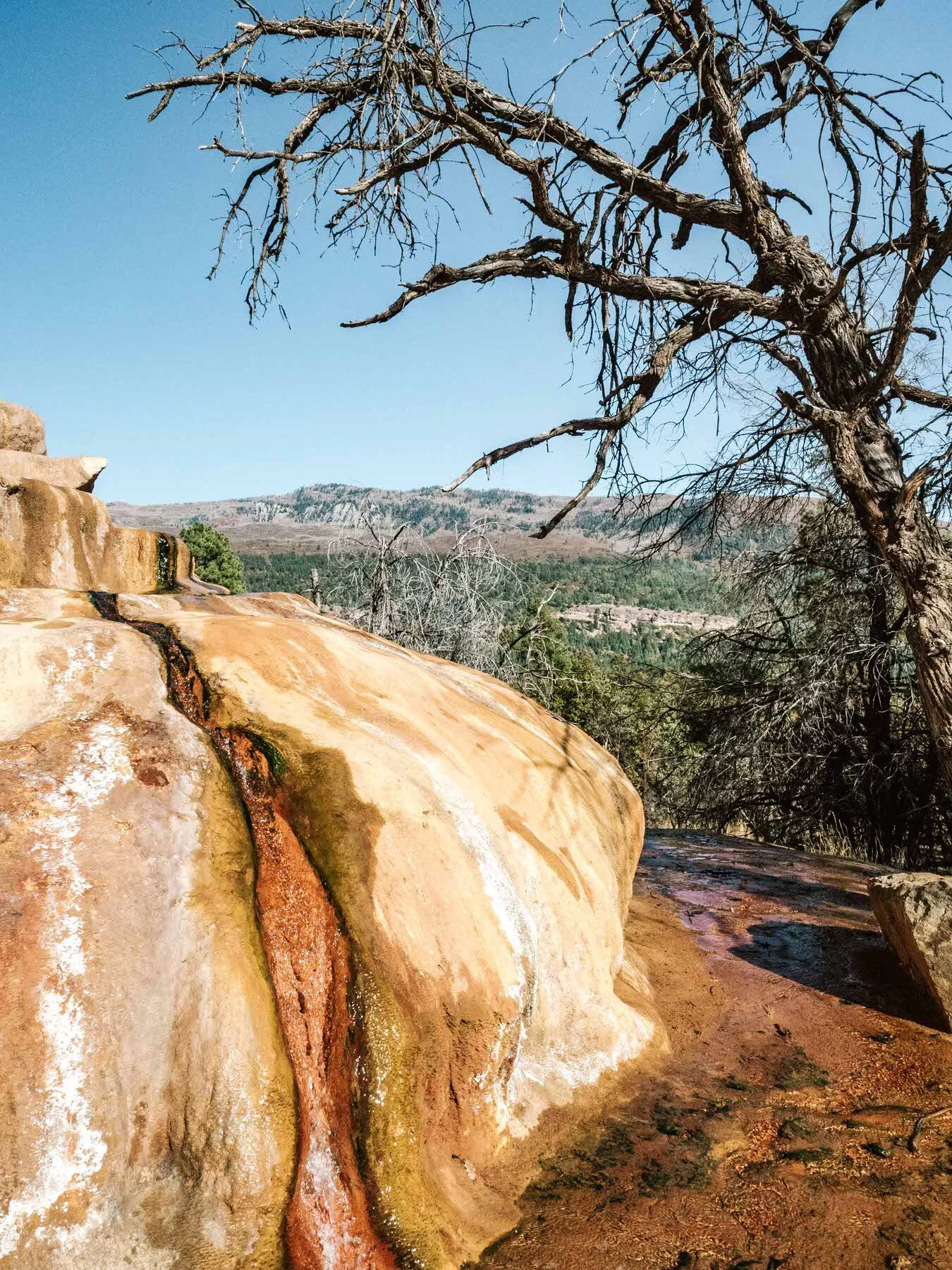 6 Awesome Things to Do in Durango, CO (especially in the Fall) — Adrift ...