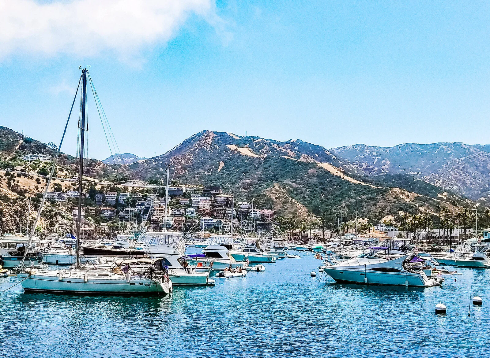 The Perfect Catalina Island Day Trip Itinerary — Adrift Aesthetic