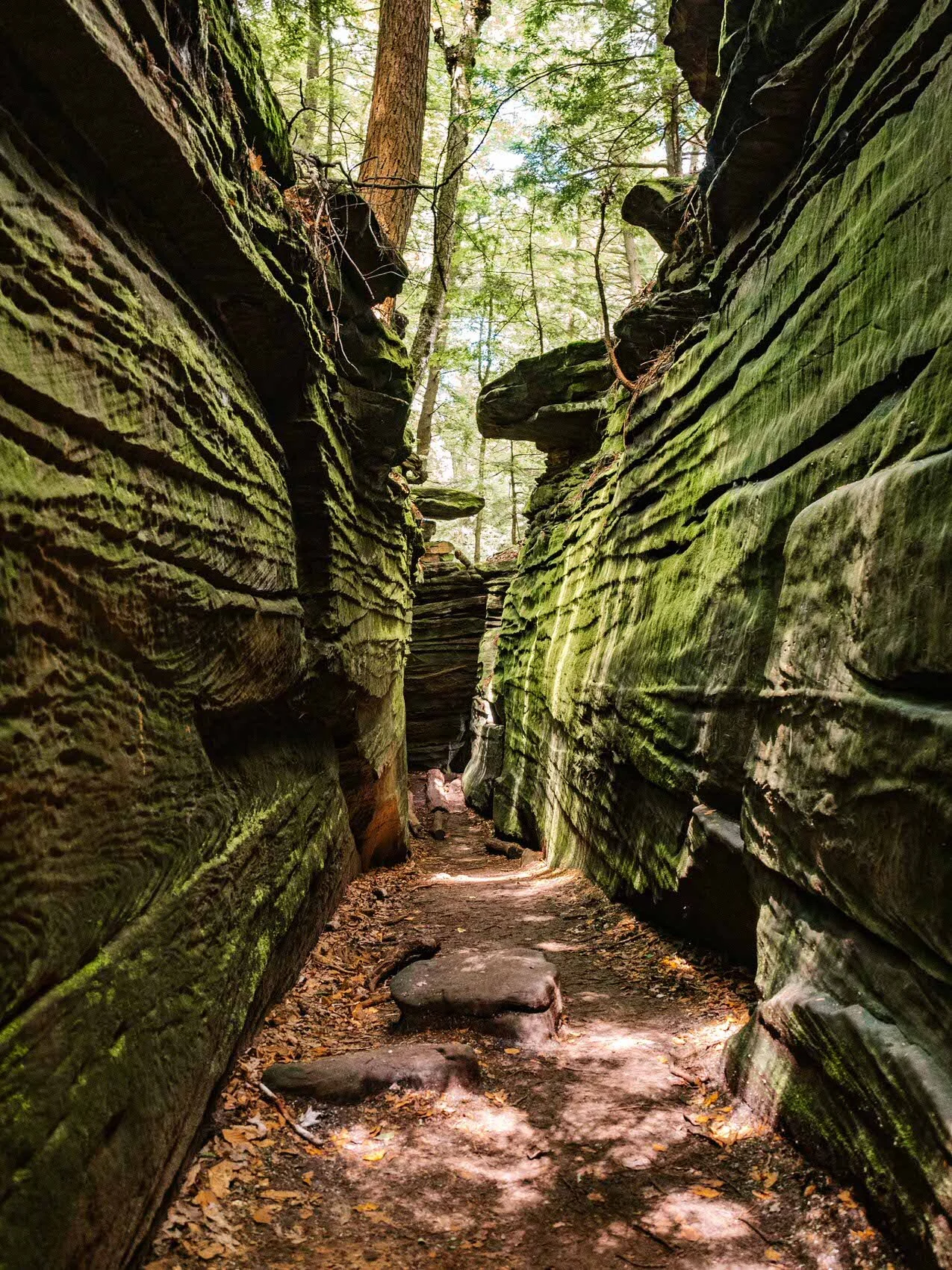 Hiking in Ohio: the Best Cuyahoga Valley National Park Trails — Adrift ...