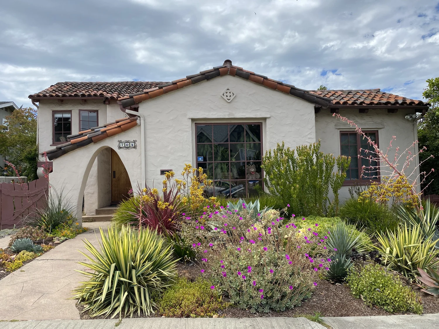 Albany California Drought Tolerant - Fire Resistant Garden Design