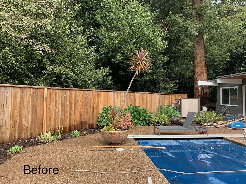 Oakland California Mid-Century Drought Tolerant - Fire Resistant Garden