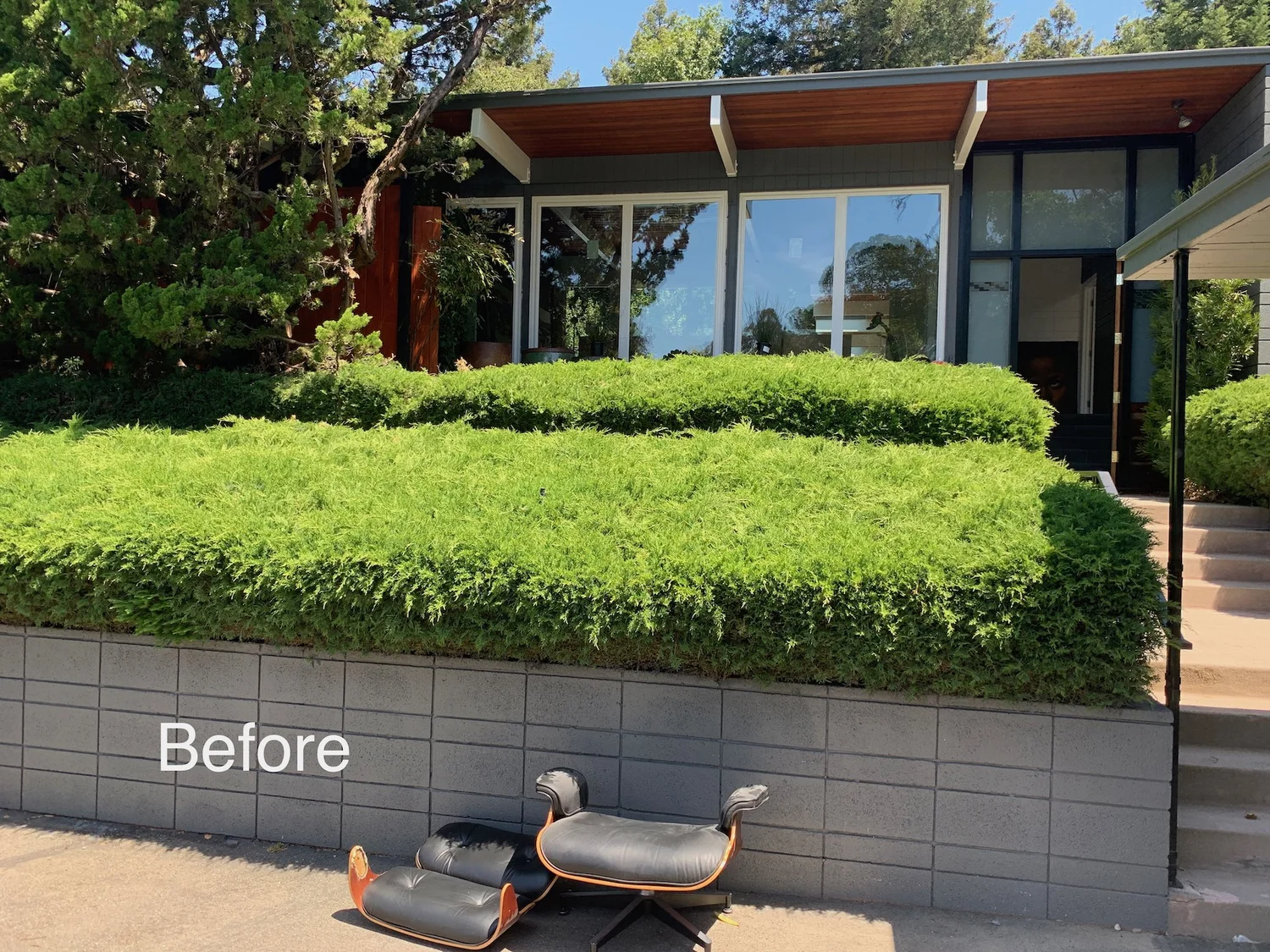 Oakland California Mid-Century Drought Tolerant - Fire Resistant Garden
