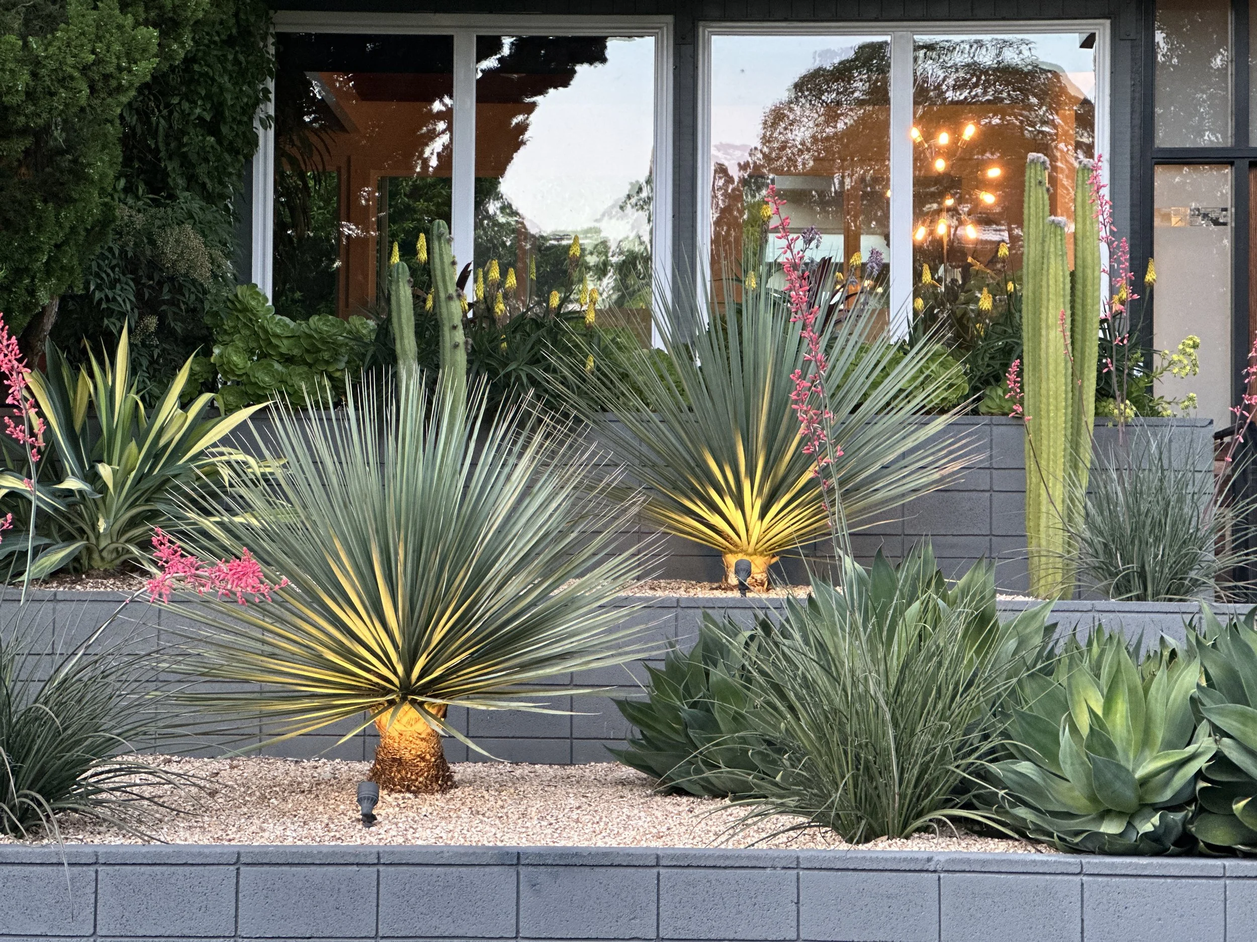 Oakland California Mid-Century Drought Tolerant - Fire Resistant Garden