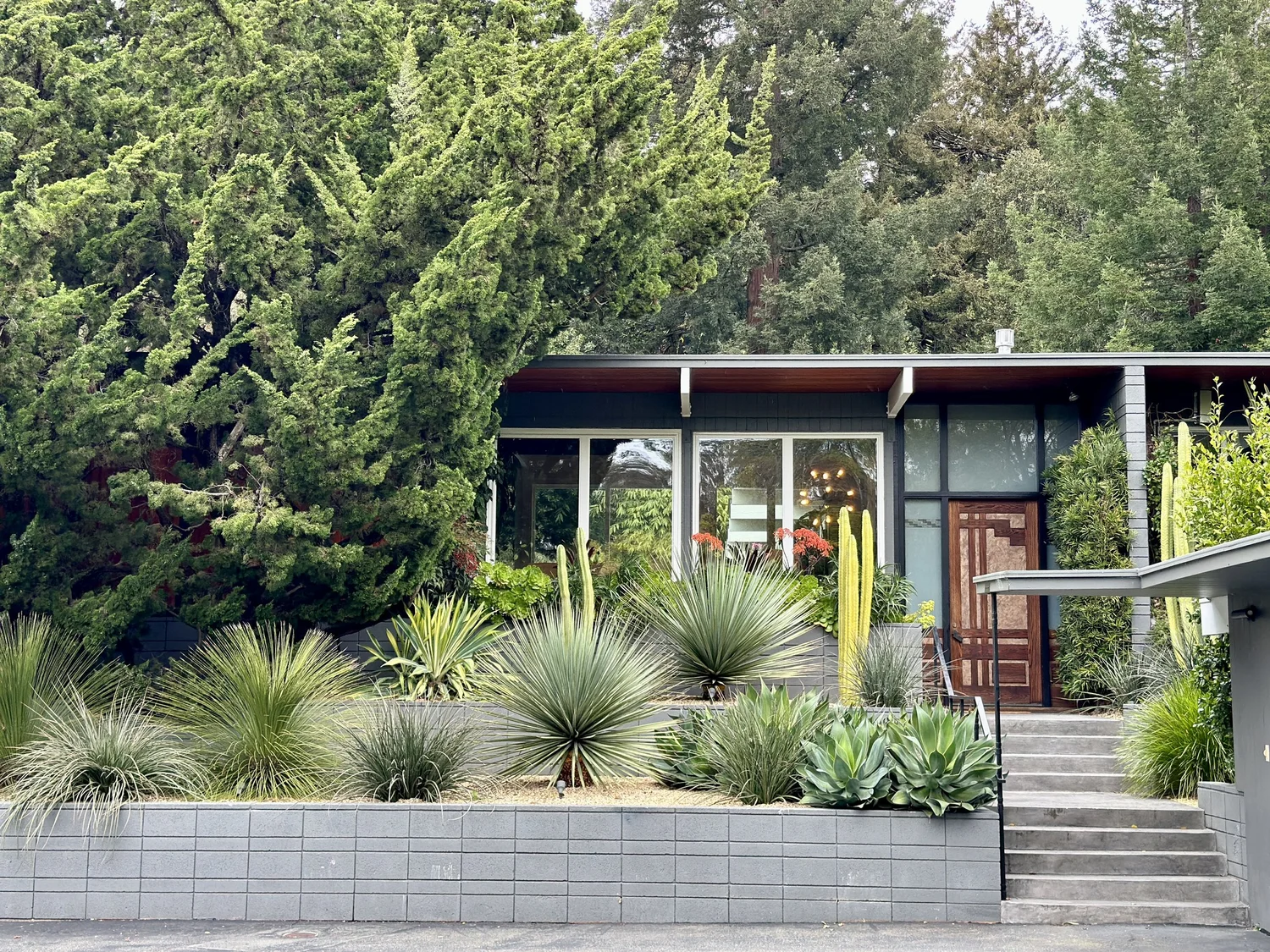 Oakland California Mid-Century Drought Tolerant - Fire Resistant Garden