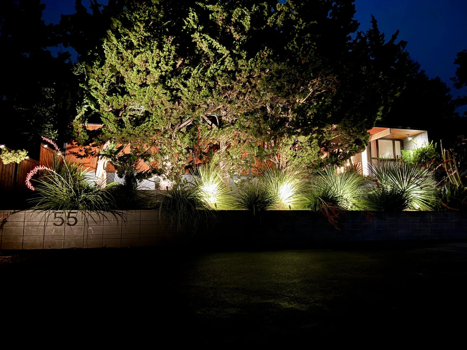 Oakland California Mid-Century Drought Tolerant - Fire Resistant Garden