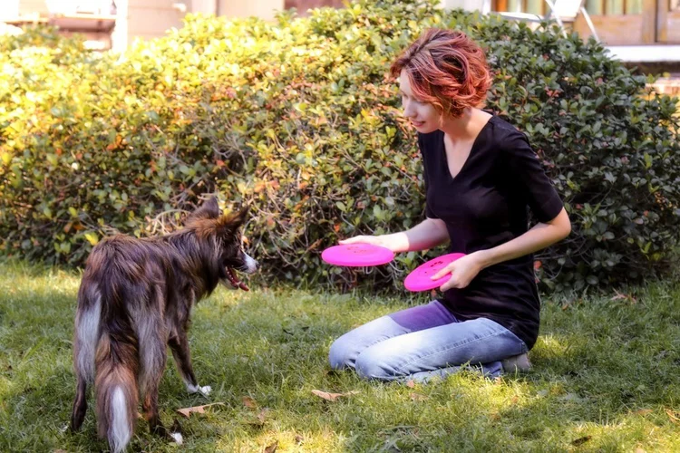 AKC FIT DOG Level 1 Virtual Group Class Six-Week Course Starts ...