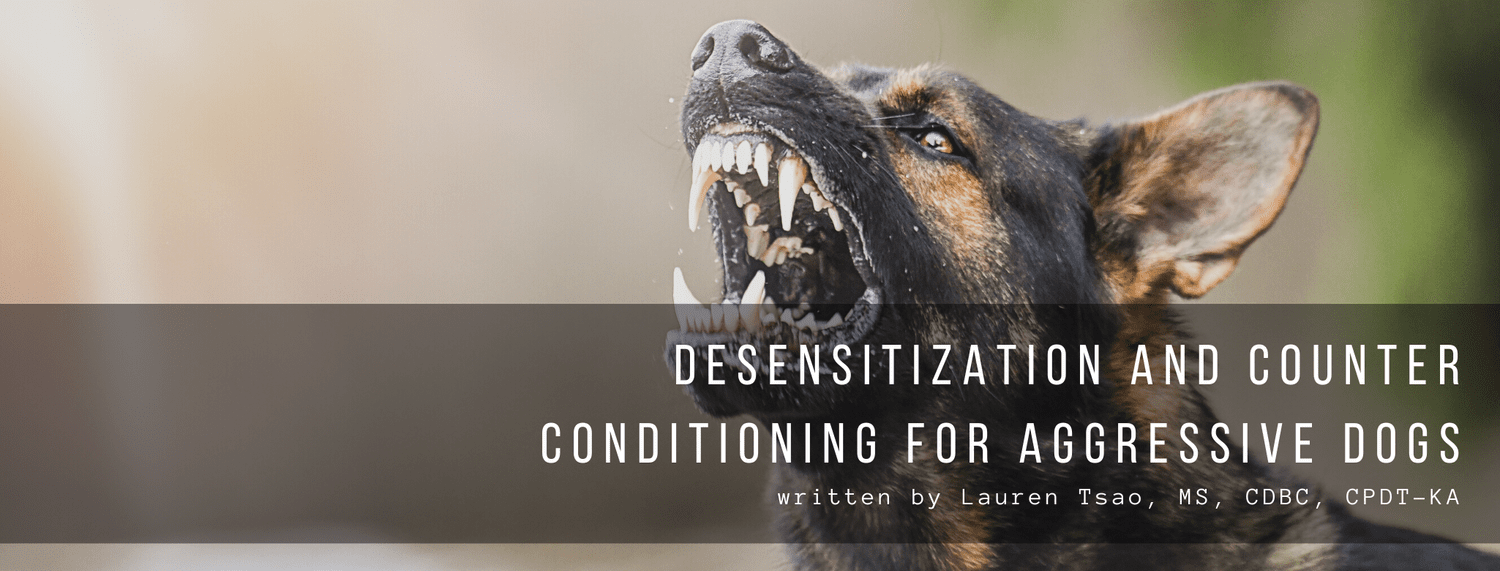 Desensitization and Counter-Conditioning for Aggressive Dogs — Faithfully Yours Dog Training ...
