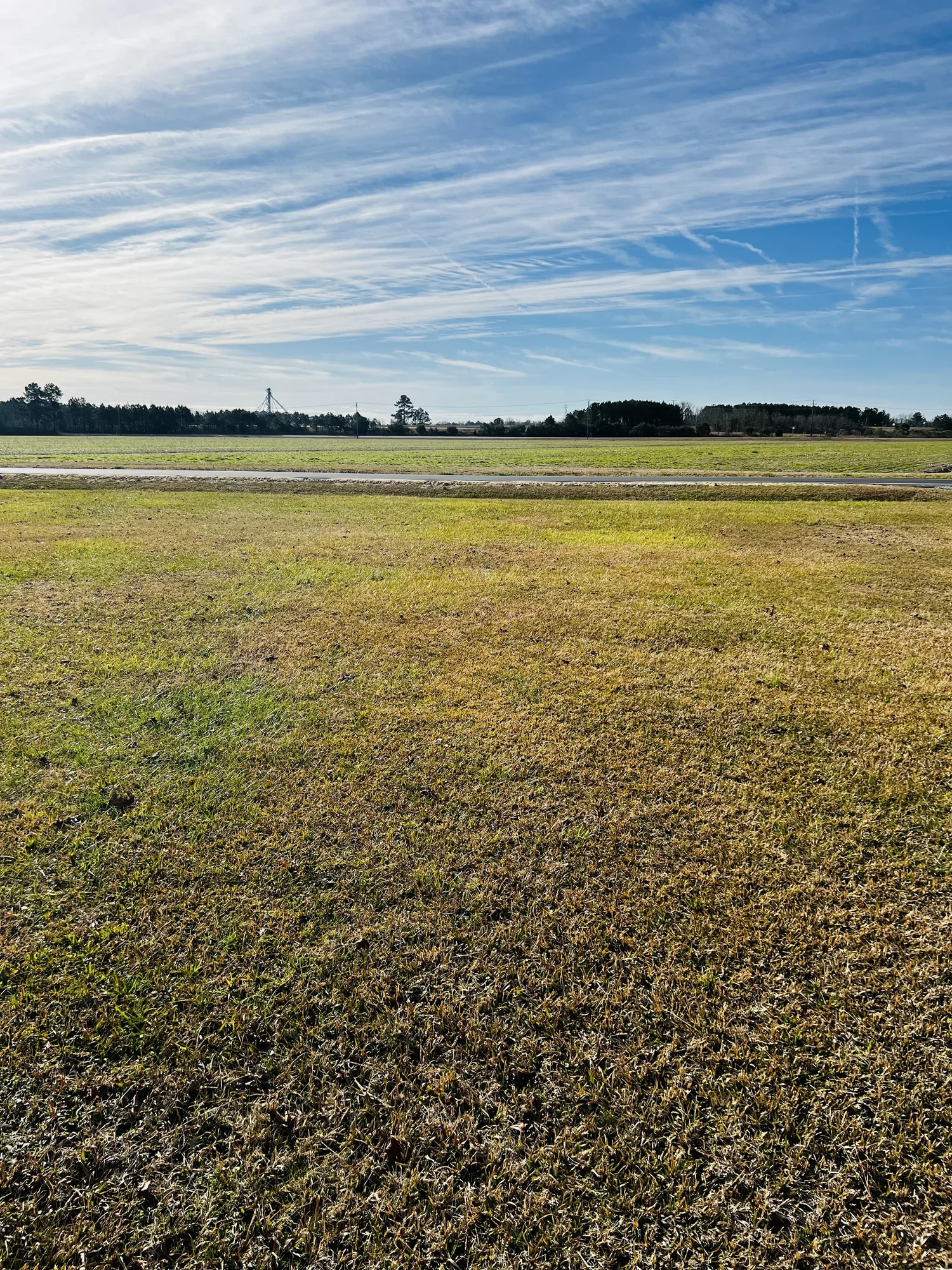 Blog — Tim Rodgers Jr