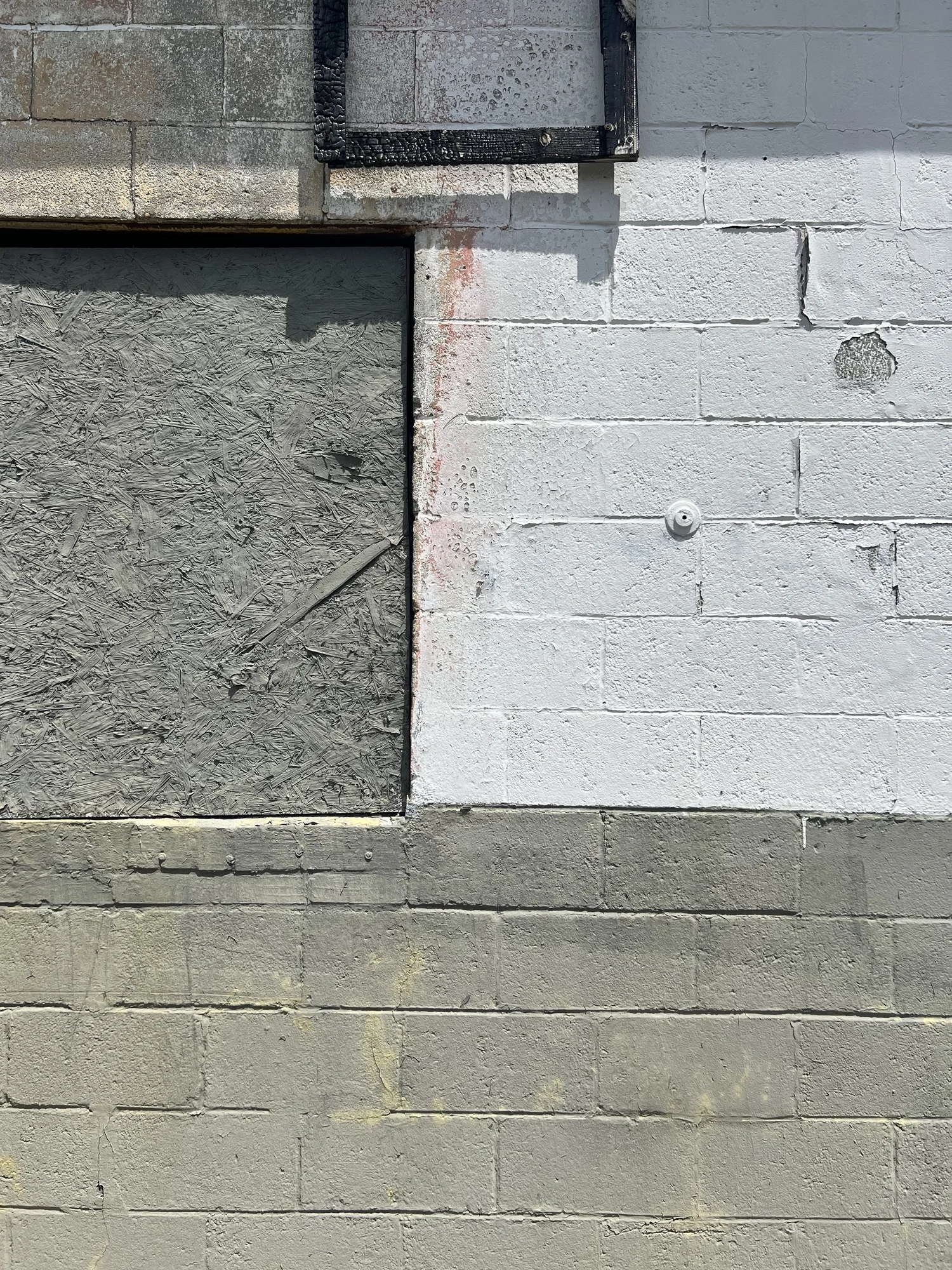 Blog — Tim Rodgers Jr