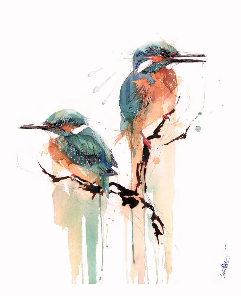 King Fisher — Rachel Walker