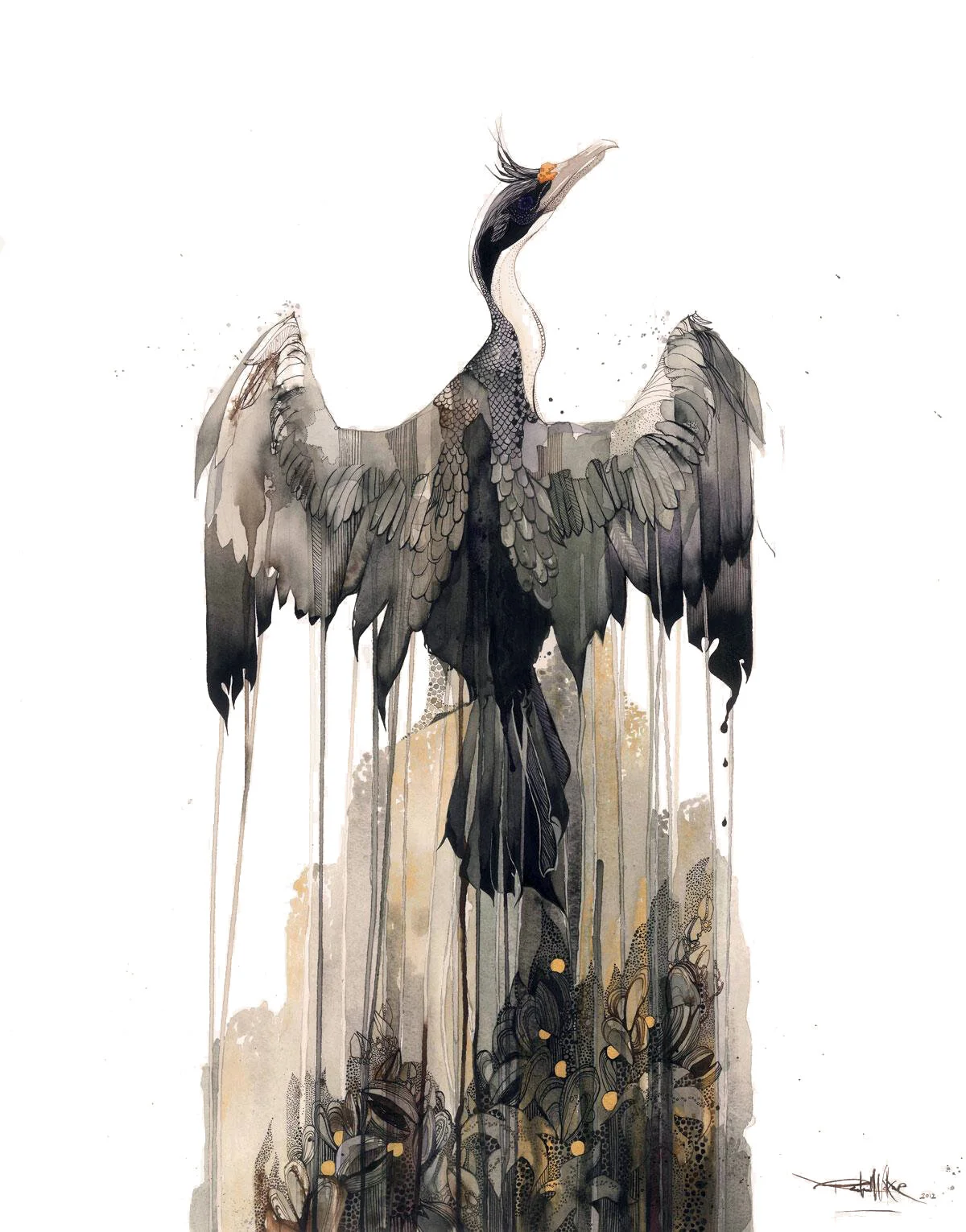 NZ Falcon Swoop — Rachel Walker