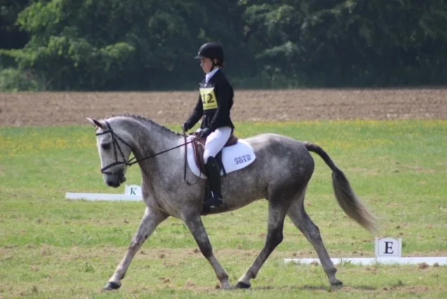 Introducing Sponsored Rider Bethany Cole — TPL Equestrian