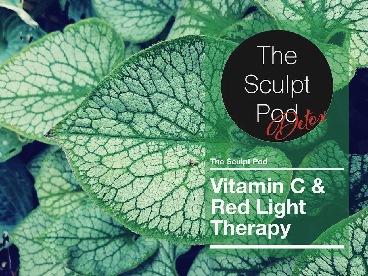 Sculpt Pod and Vitamin C — The Sculpt Pod