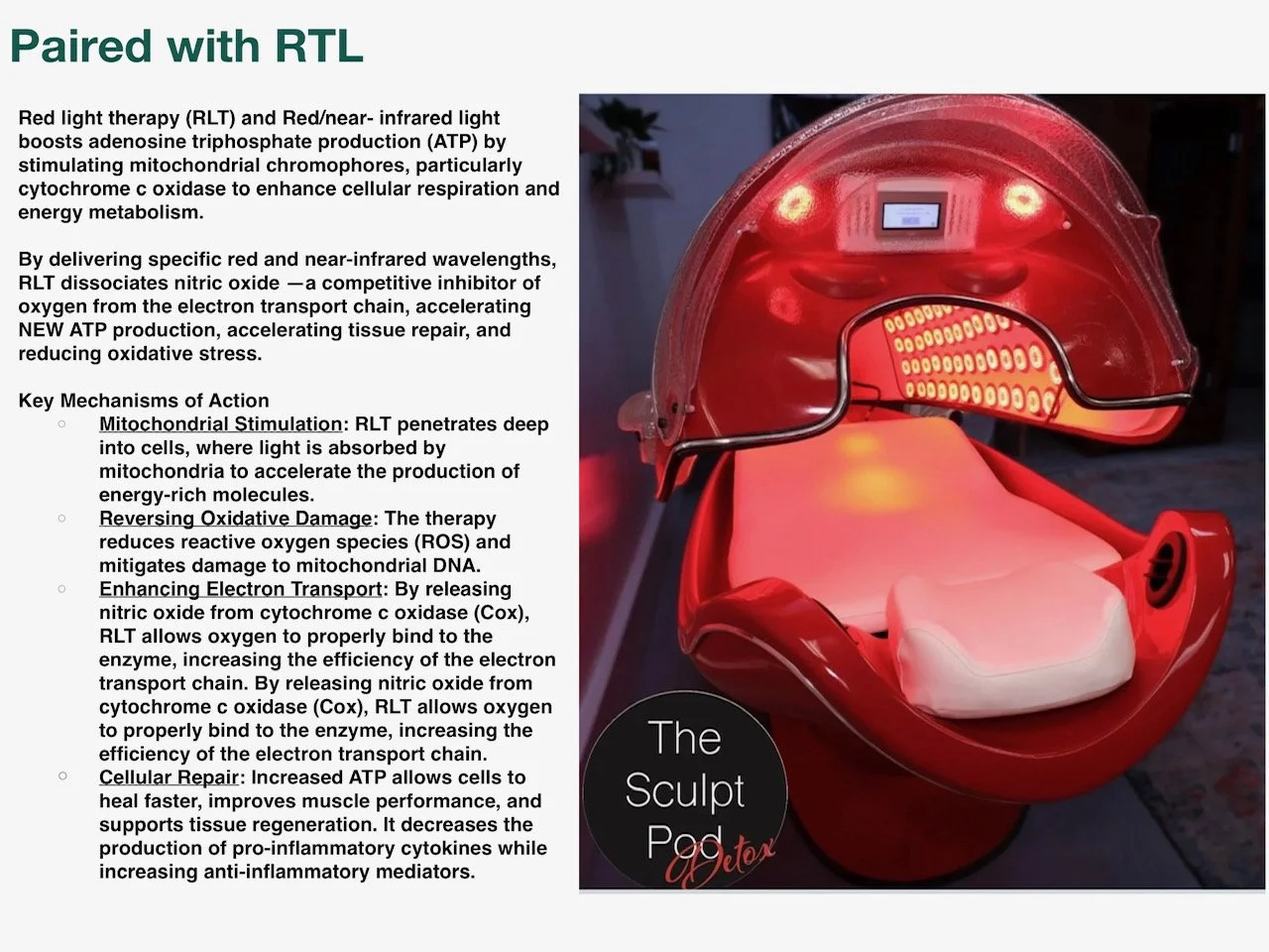 The Sculpt Pod