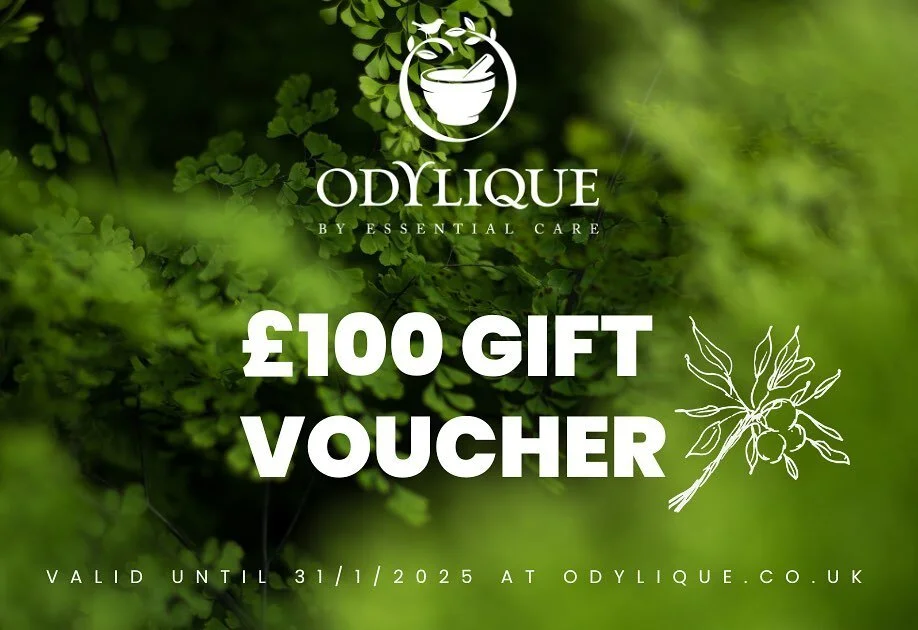 OUR BOOKS — Beauty Bible