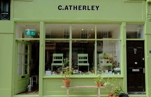 OUR BOOKS — Beauty Bible