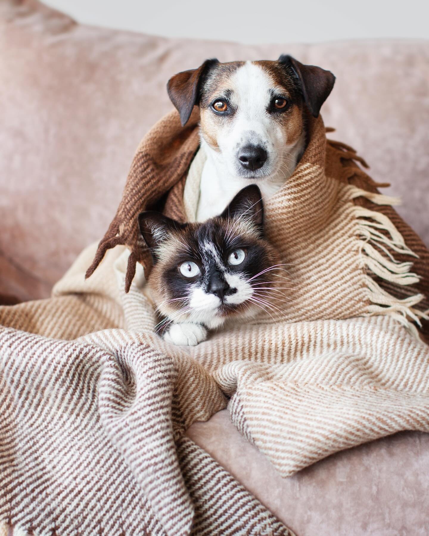 OUR BOOKS — Beauty Bible