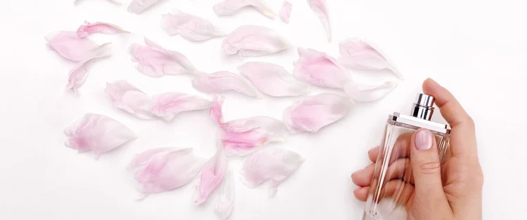 To be sniffed at! The first Barnes Fragrance Fair — Beauty Bible