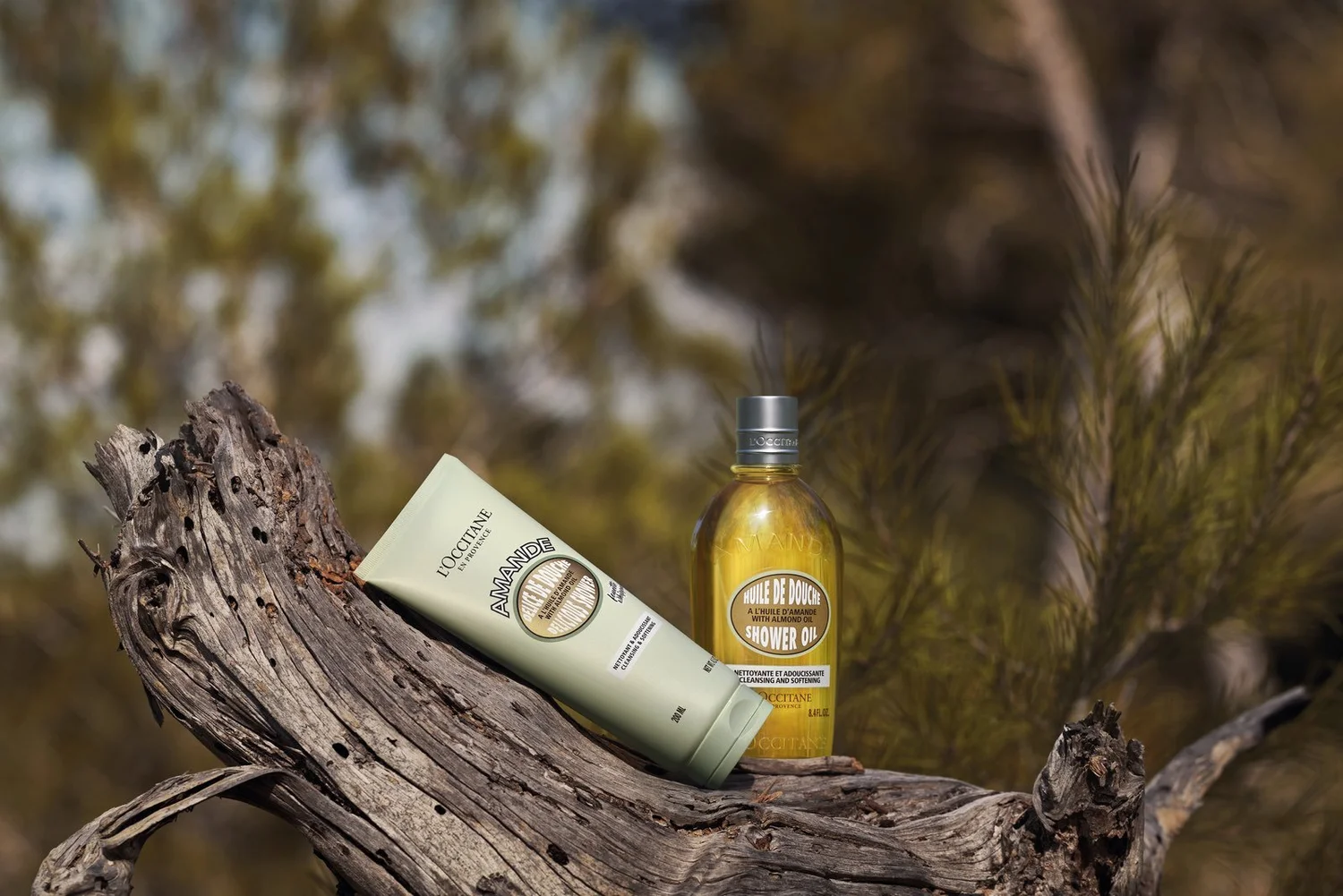 Fab Find of the Week: L'OCCITANE Almond Delicious Shower Cream — Beauty ...