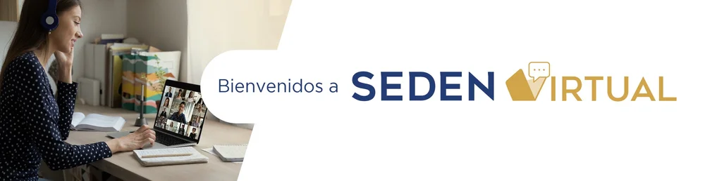 SEDEN VIRTUAL — SEDEN