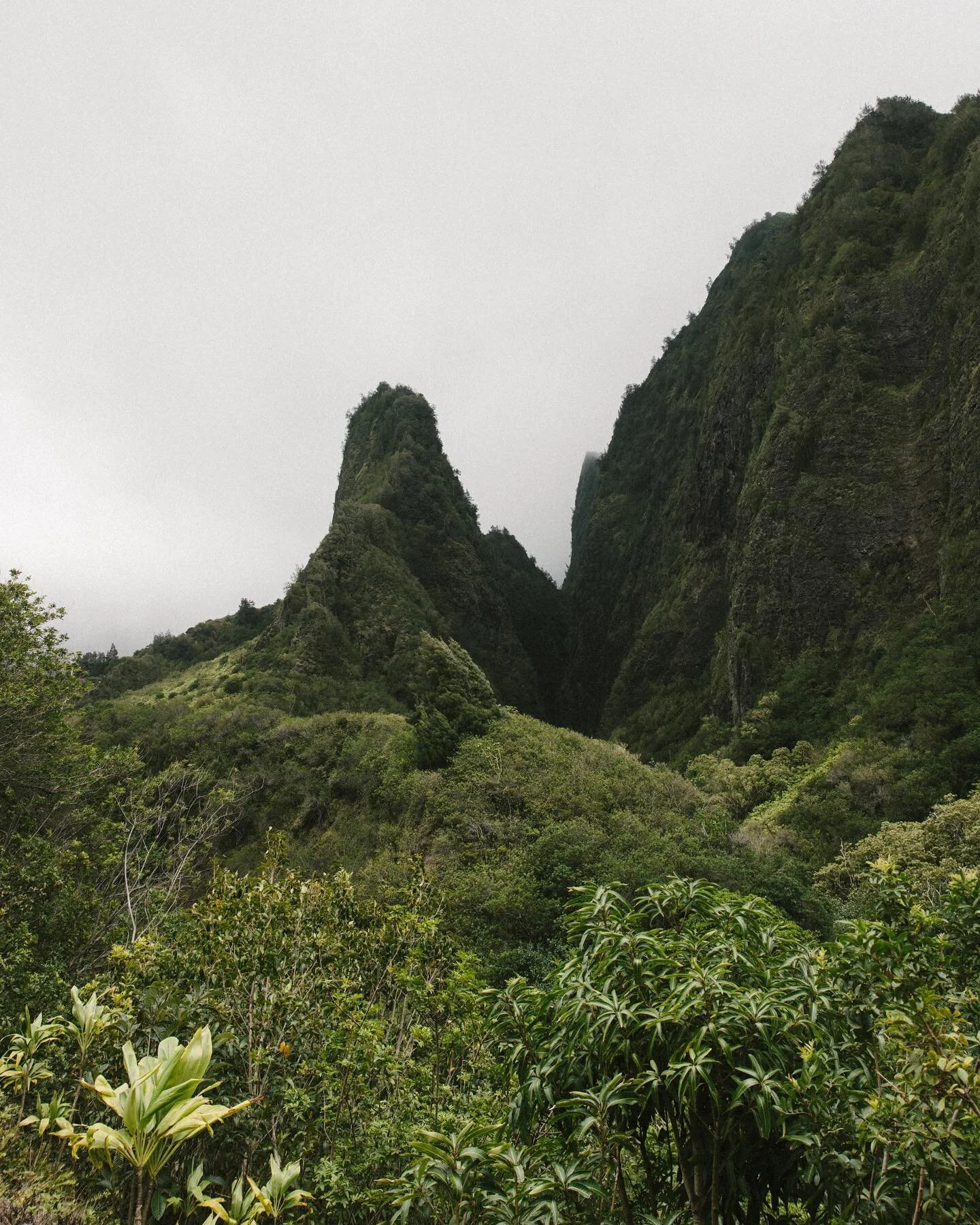 Diary — ABISH Oahu Photographer