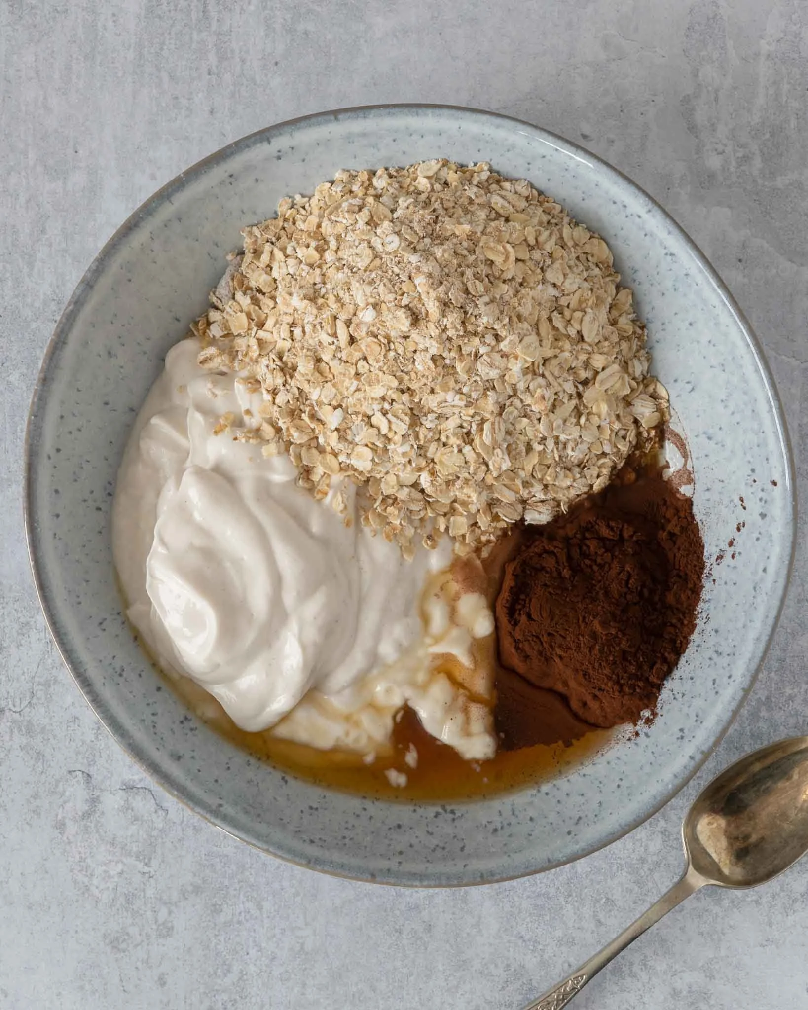 Chocolate Peanut Butter Bircher (Quick Recipe!) — A Vegan Visit