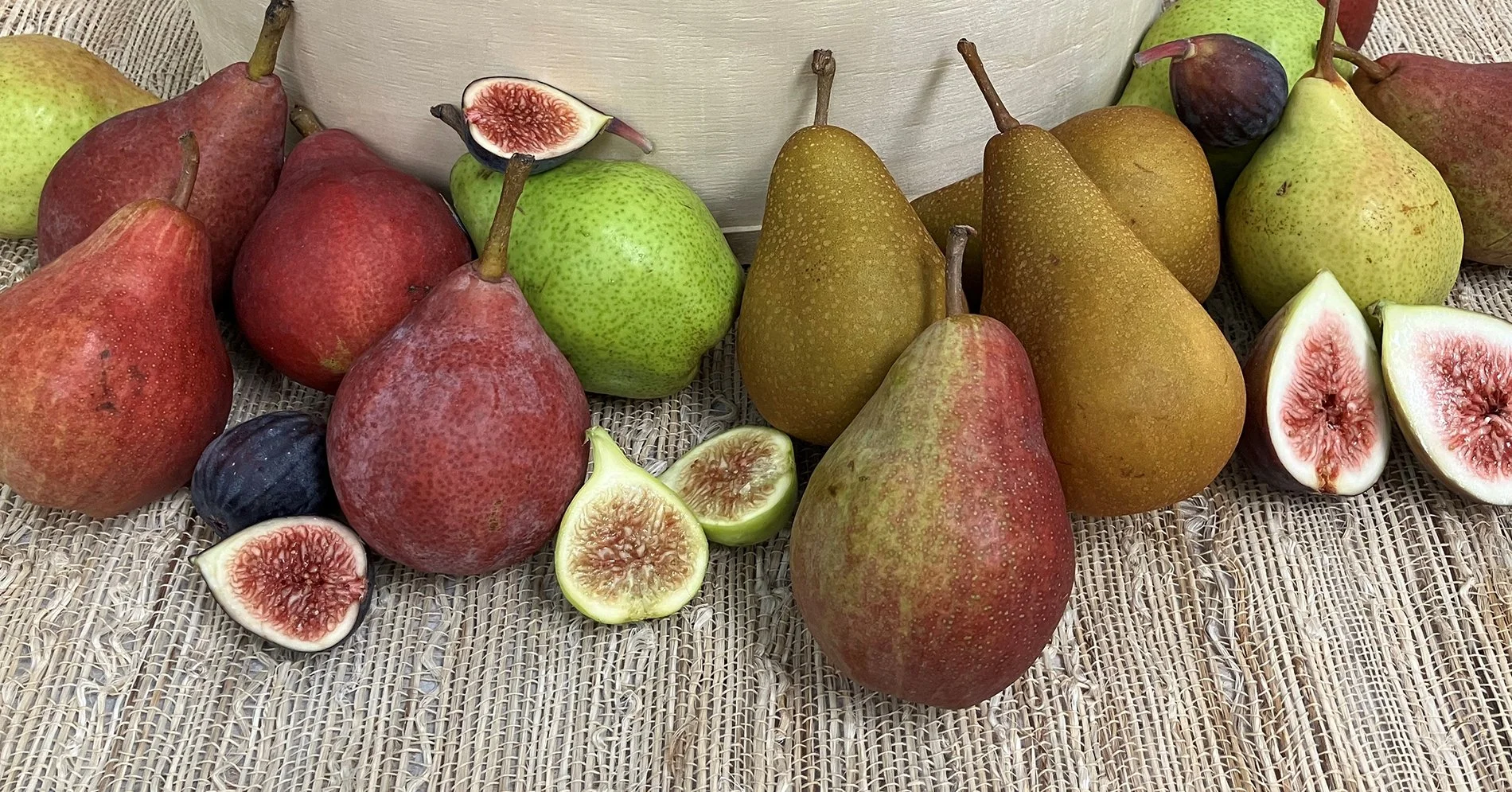 Co-op Partners Warehouse - Home