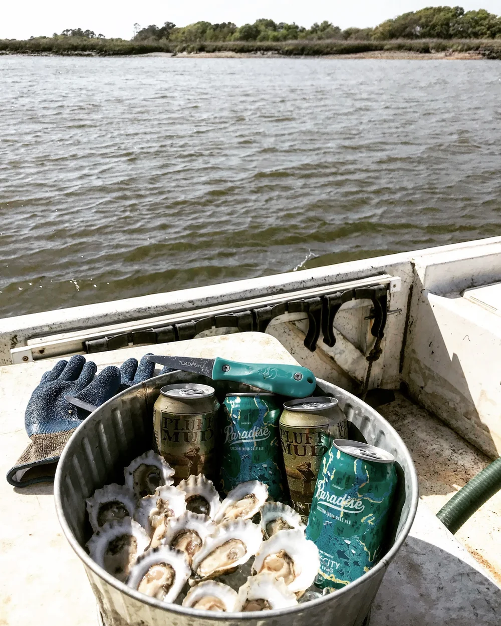 PERKY SEA CUPS — Charleston Oyster Farm