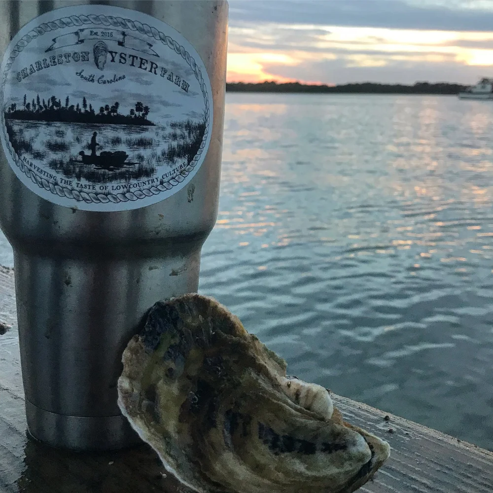PERKY SEA CUPS — Charleston Oyster Farm