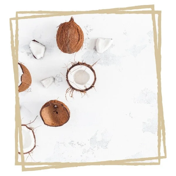 Tips For Improving Digestion With Coconut — This Unrefined Life