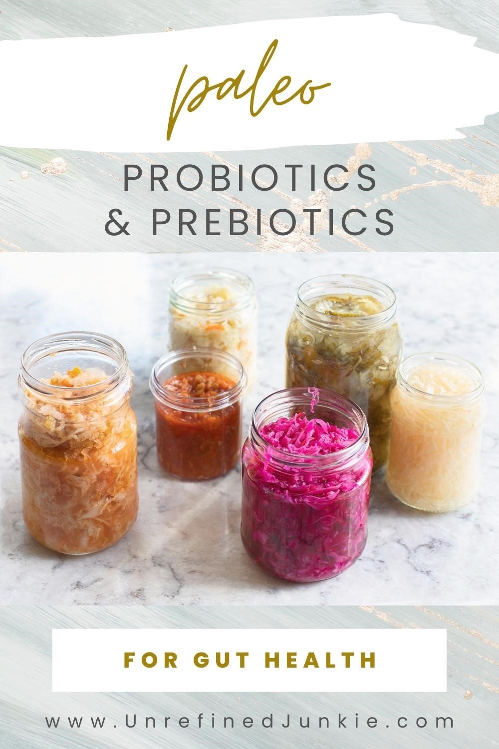 Paleo Probiotics and Prebiotics for Gut Health — This Unrefined Life