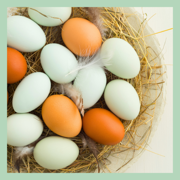 Digestion & Autoimmunity: What's the Connection? — This Unrefined Life